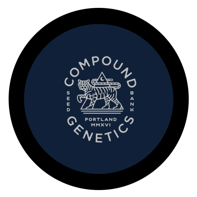 COMPOUND GENETICS - HIGH SOCIETY