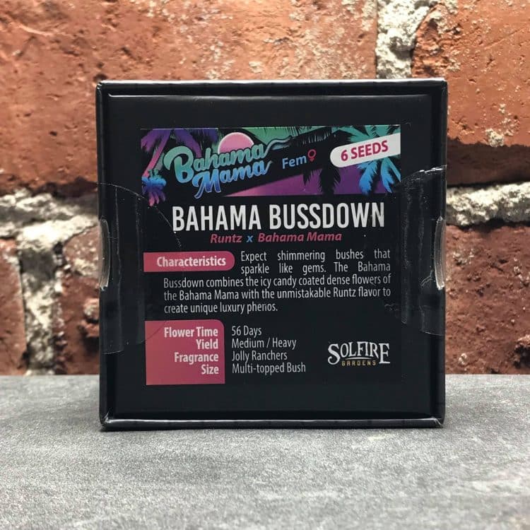 SOLFIRE GARDENS - BAHAMA BUSSDOWN (6PK) (FEMS) - Fire Tree Seed Vault