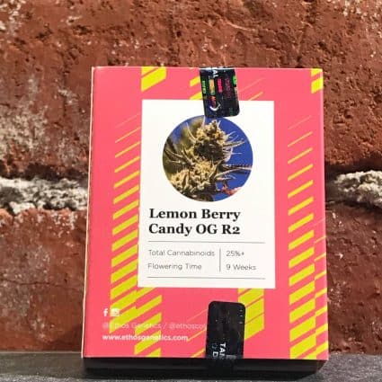 ETHOS GENETICS - LEMON BERRY CANDY OG (5PK) (FEMS)