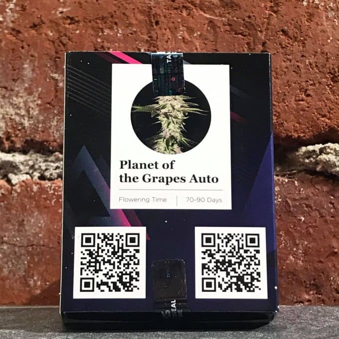 ETHOS GENETICS - PLANET OF THE GRAPES AUTO (3PK) (AUTOS)