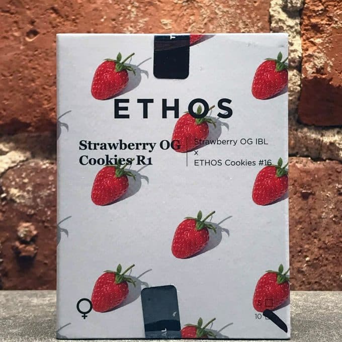 ETHOS GENETICS - STRAWBERRY OG COOKIES R1 (10PK) (FEMS)