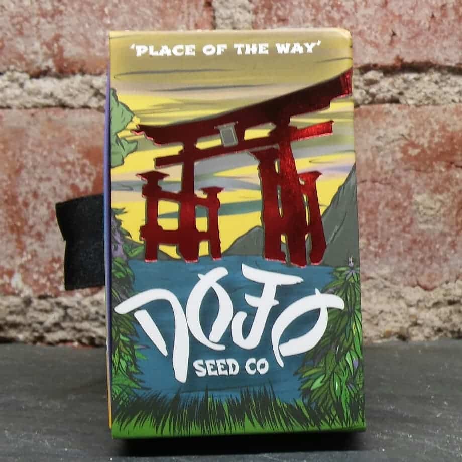 DOJO SEED CO. - CITRUS SMASH (5PK) (REGS) - Fire Tree Seed Vault