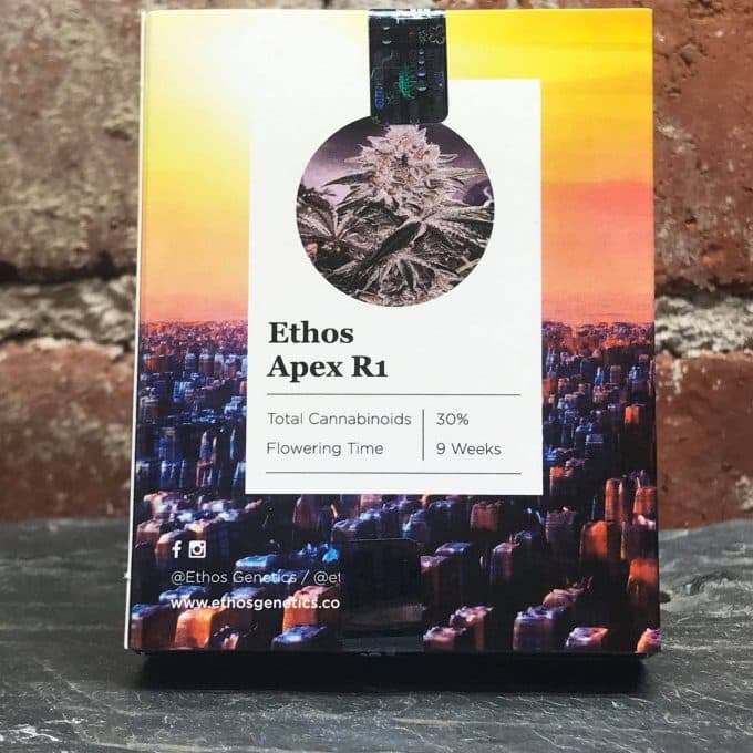 ETHOS GENETICS - ETHOS APEX R1 (10PK) (FEMS)