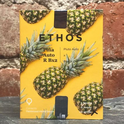 ETHOS GENETICS - PIÑA AUTO RBX2 (10PK) (AUTOS) - Fire Tree Seed Vault