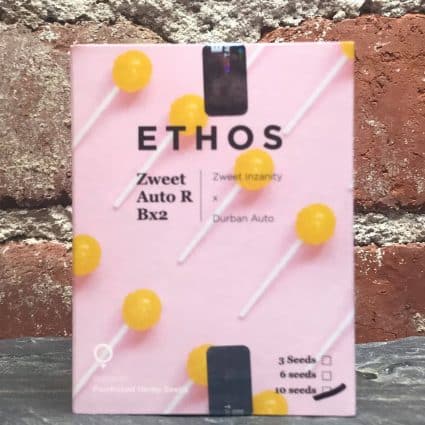 ETHOS GENETICS - ZWEET AUTO RBx2 (10PK) (AUTOS) - Fire Tree Seed Vault