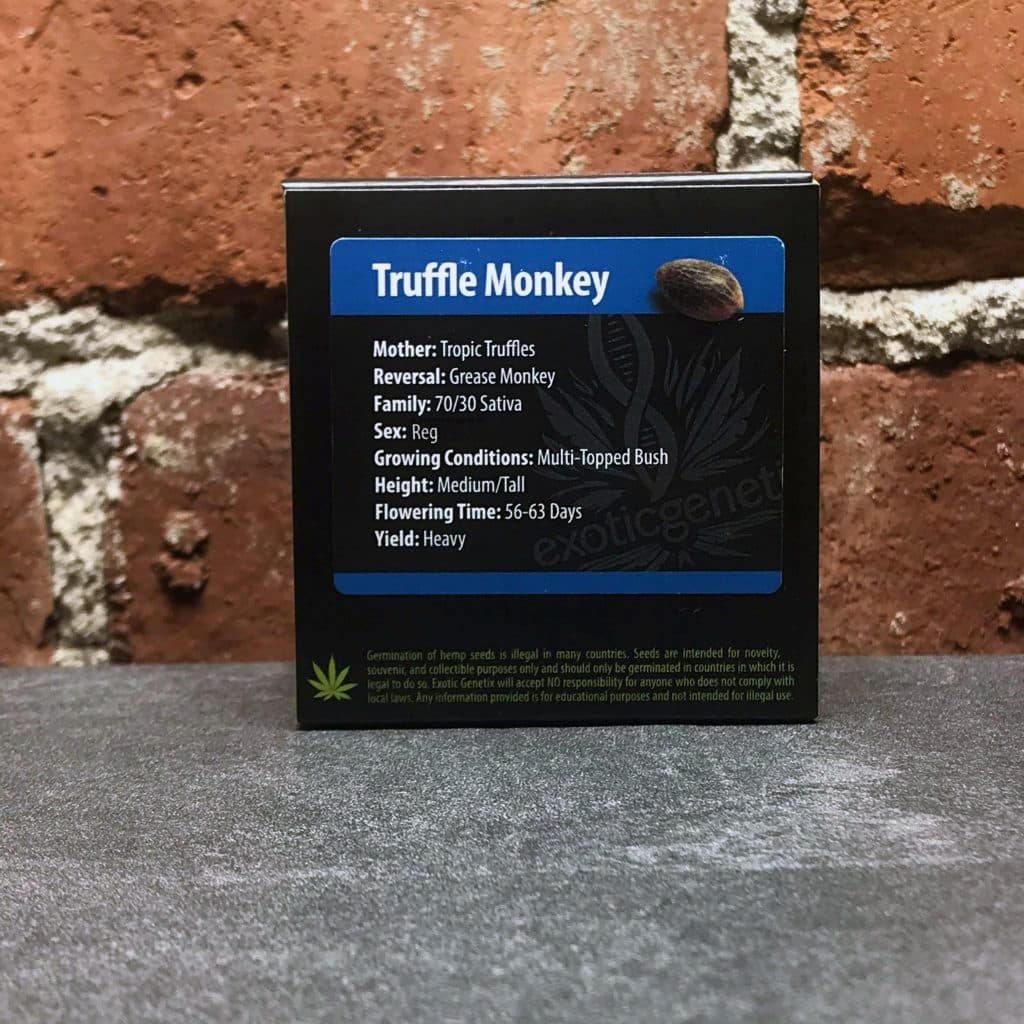 EXOTIC GENETIX - TRUFFLE MONKEY (10PK) (REGS) - Fire Tree Seed Vault