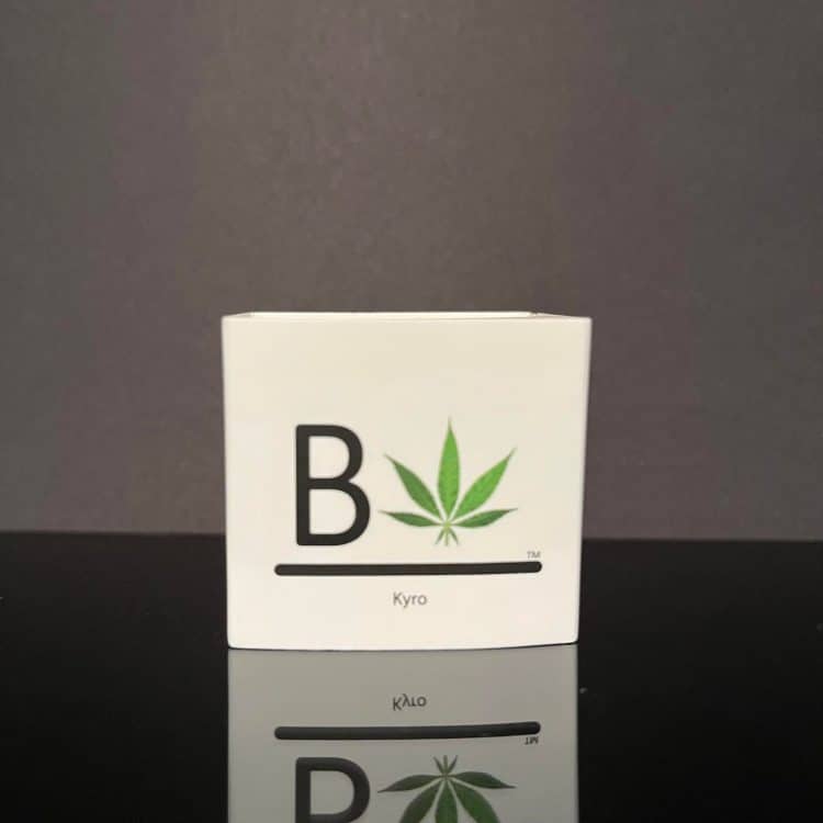 BELEAF - KYRO - Fire Tree Seed Vault