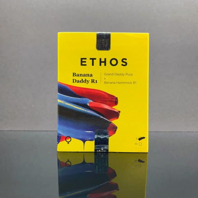 ETHOS GENETICS - BANANA DADDY R1 (5PK) (FEMS)