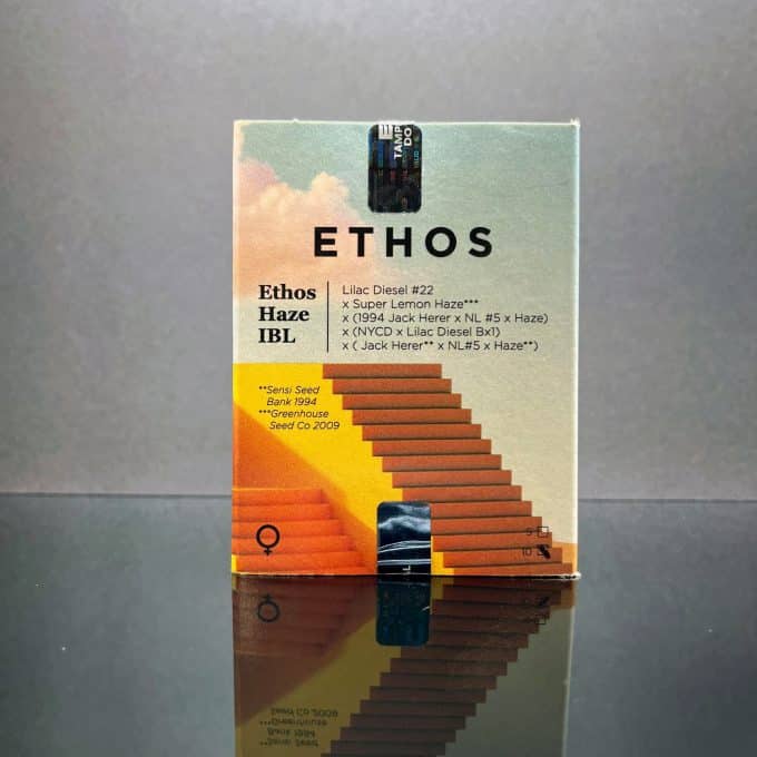 ETHOS GENETICS - ETHOS HAZE IBL (5PK) (FEMS)