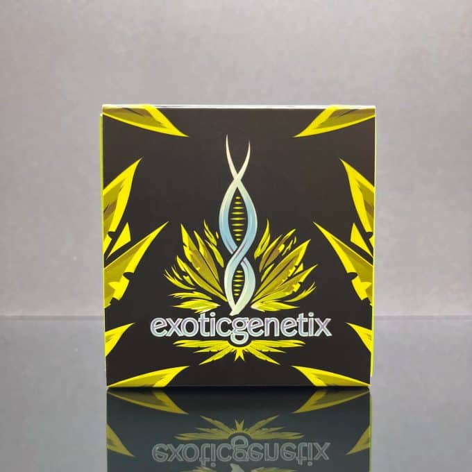 EXOTIC GENETIX - CODE RED (6PK) (FEMS)