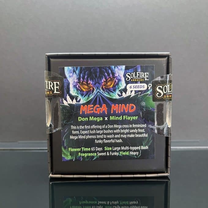 SOLFIRE GARDENS - Fire Tree Seed Vault