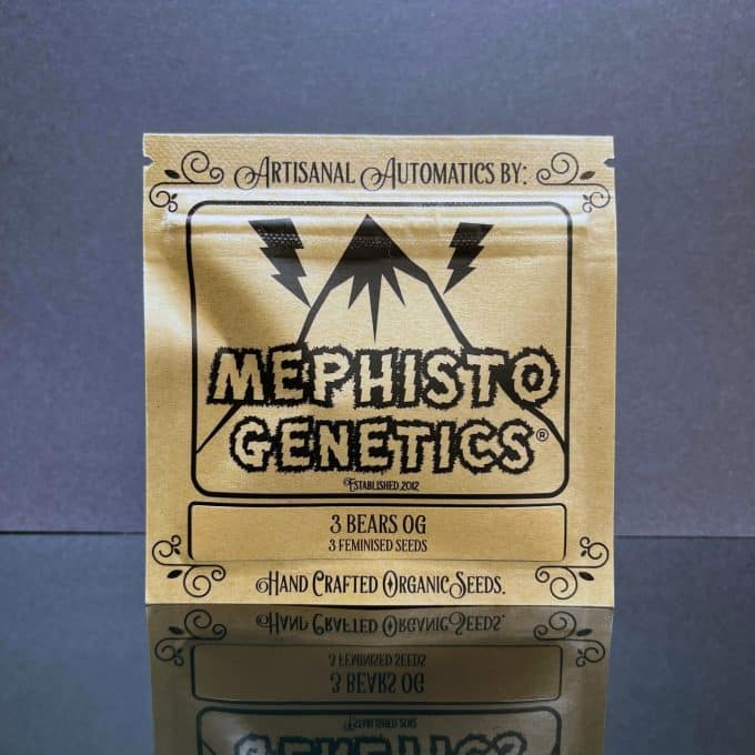 MEPHISTO GENETICS - 3 BEARS OG - Fire Tree Seed Vault