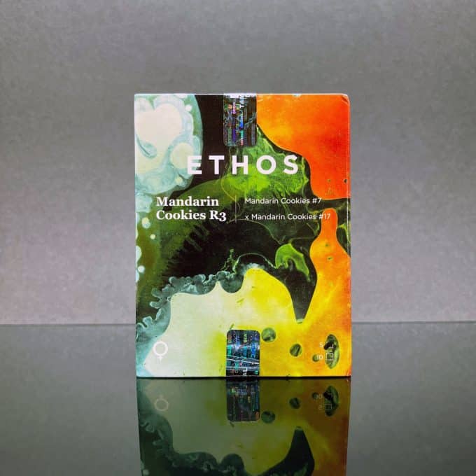 ETHOS GENETICS - MANDARIN COOKIES R3 (5PK) (FEMS)